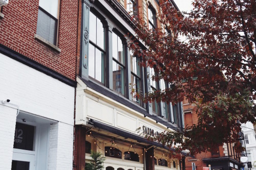 NoHo Neighborhood Guide & Things to Do