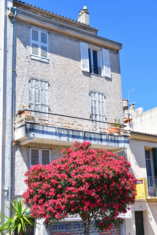 Antibes, France Travel Guide