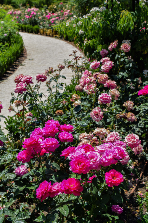 What to See in El Retiro Park