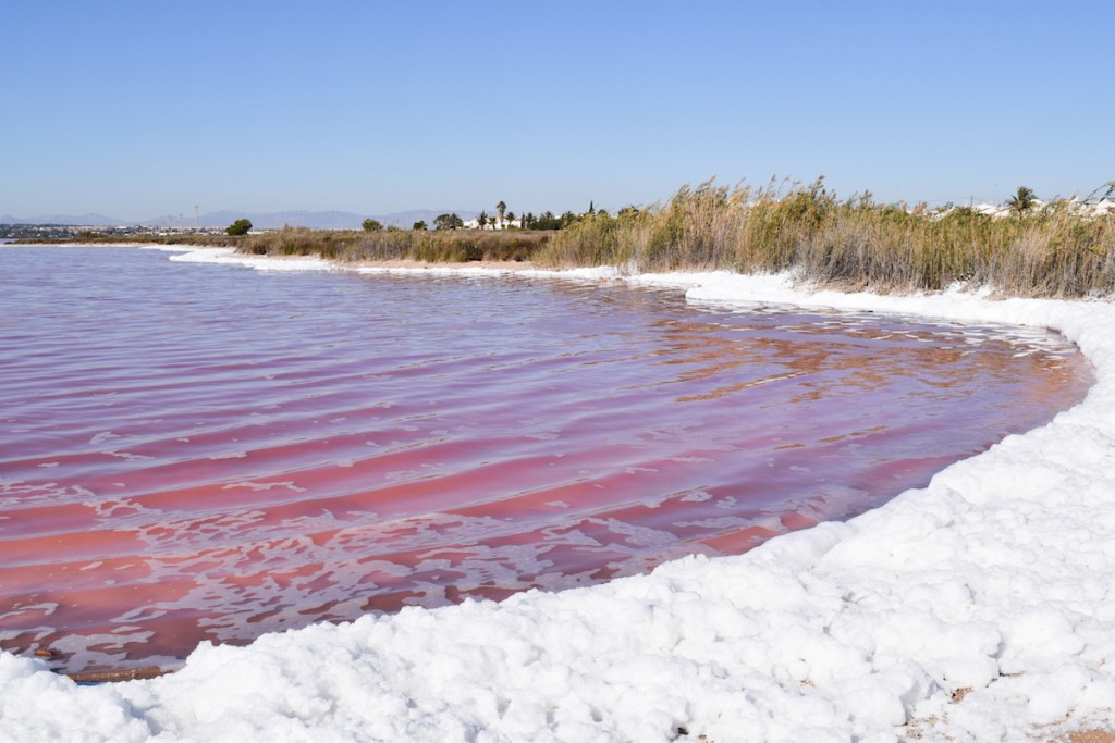 Visiting the Pink Salt Flat of Torrevieja, Spain