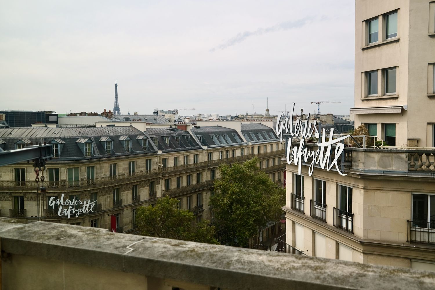 How to Visit the Galeries Lafayette Rooftop and What to Do
